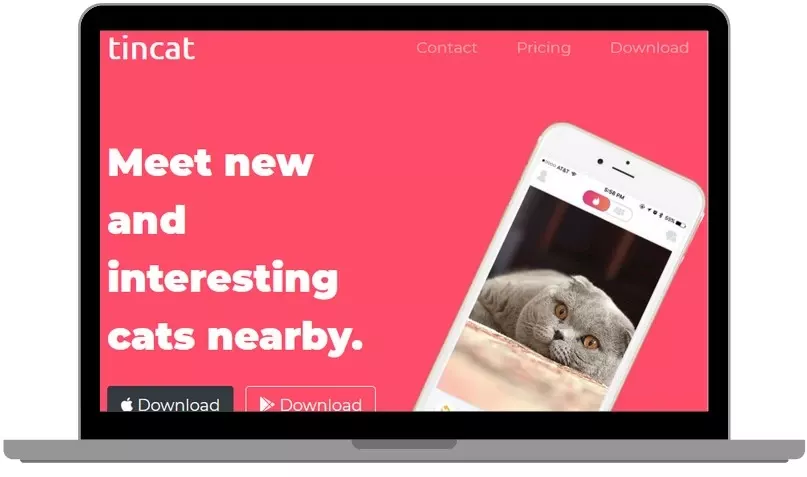 Tiago Serrano | Self-Taugh Developer